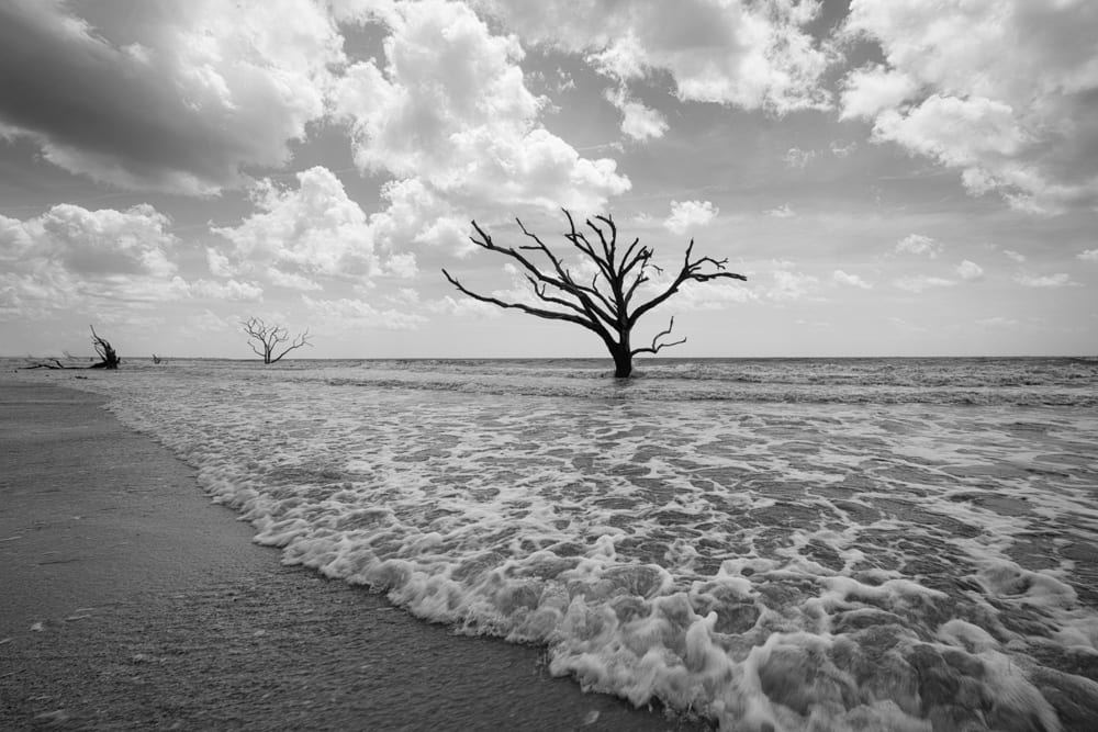 Carolyn Meltzer | Shades of Grey - South x Southeast photomagazine