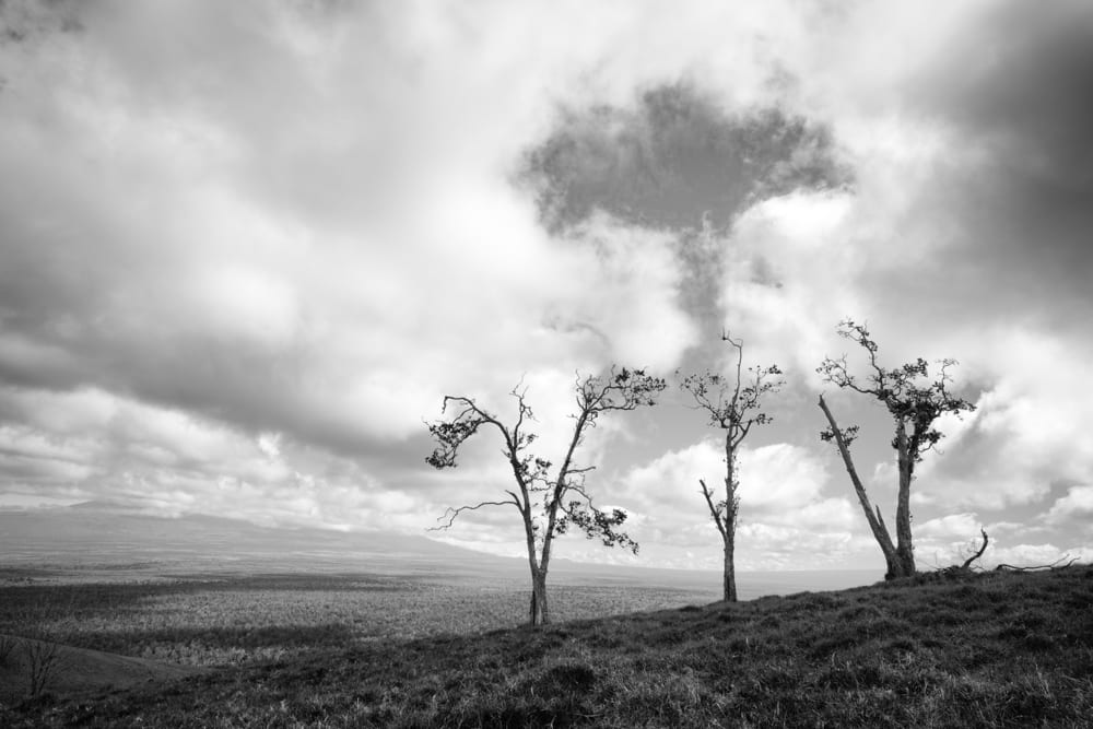 Carolyn Meltzer | Shades of Grey - South x Southeast photomagazine