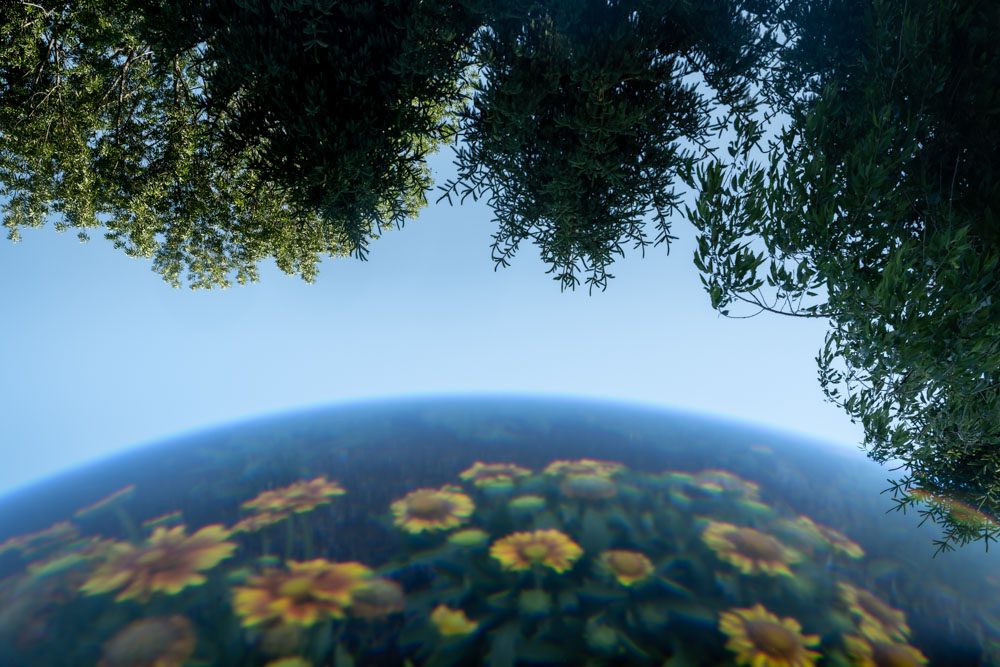 Curator's Choice | Diane Hemingway | The Wild Cosmos - South x ...