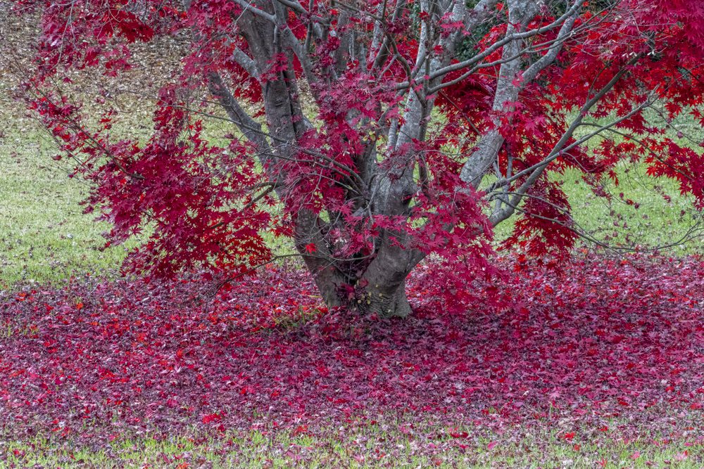 Mark Indig | Following the Chattahoochee - South x Southeast photomagazine