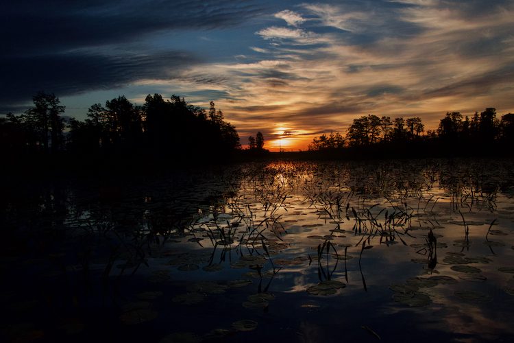 SxSE Magazine - South x Southeast photomagazine