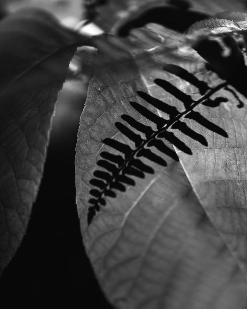 Listening to the Land: With Rapture & Astonishment | photographs from ...