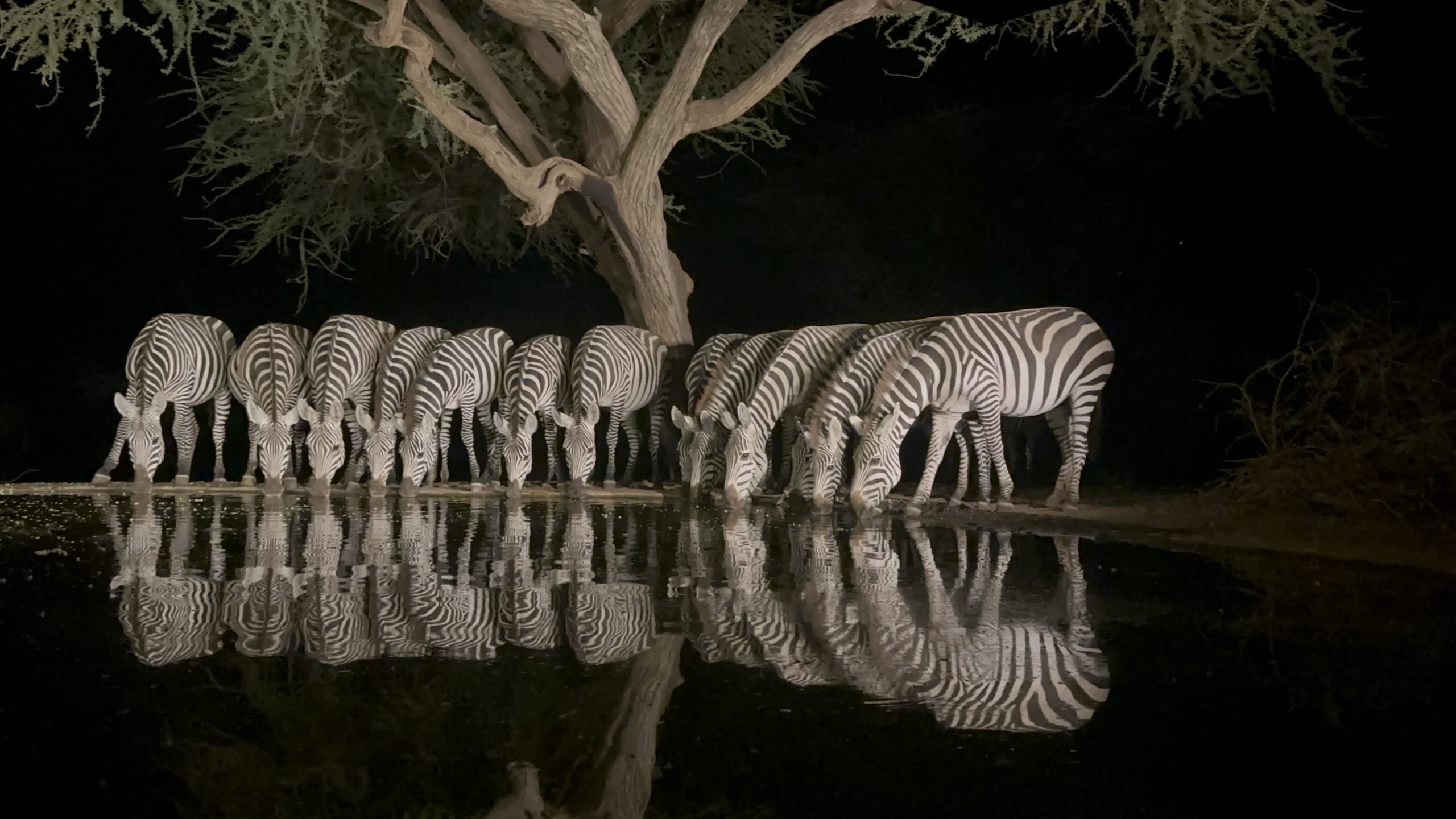 Bill Sorrell - South x Southeast photomagazine