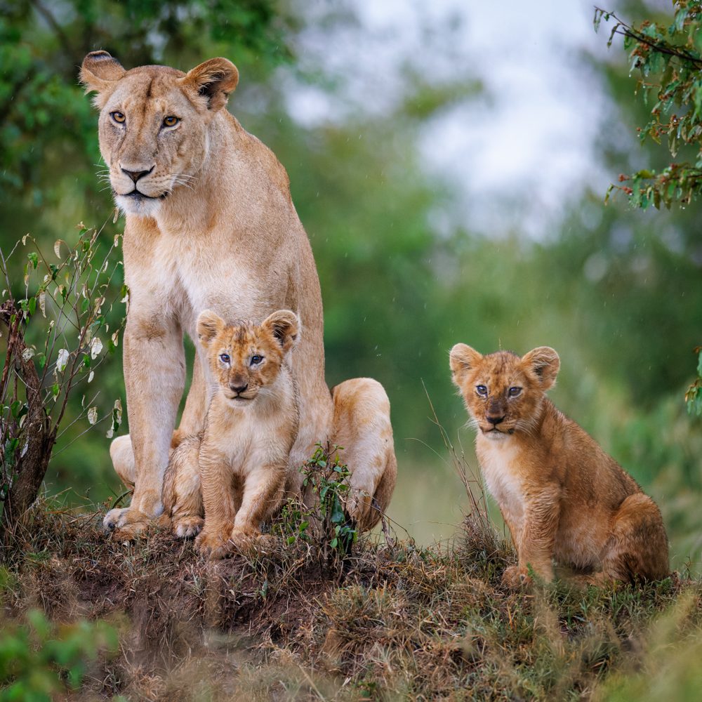 Elizabeth Brooke - South x Southeast photomagazine