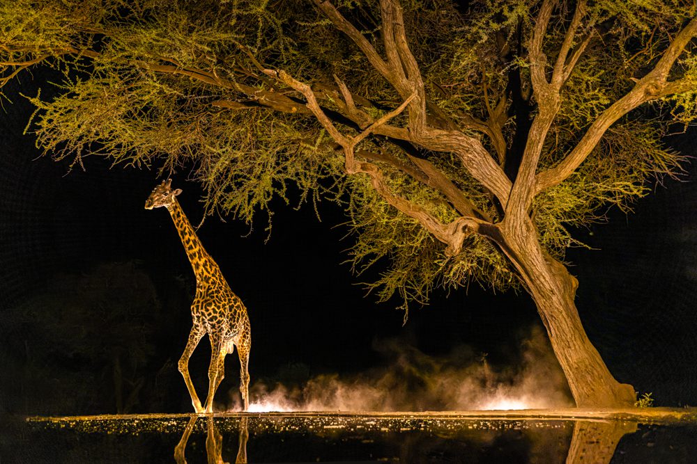 Elizabeth Brooke - South x Southeast photomagazine