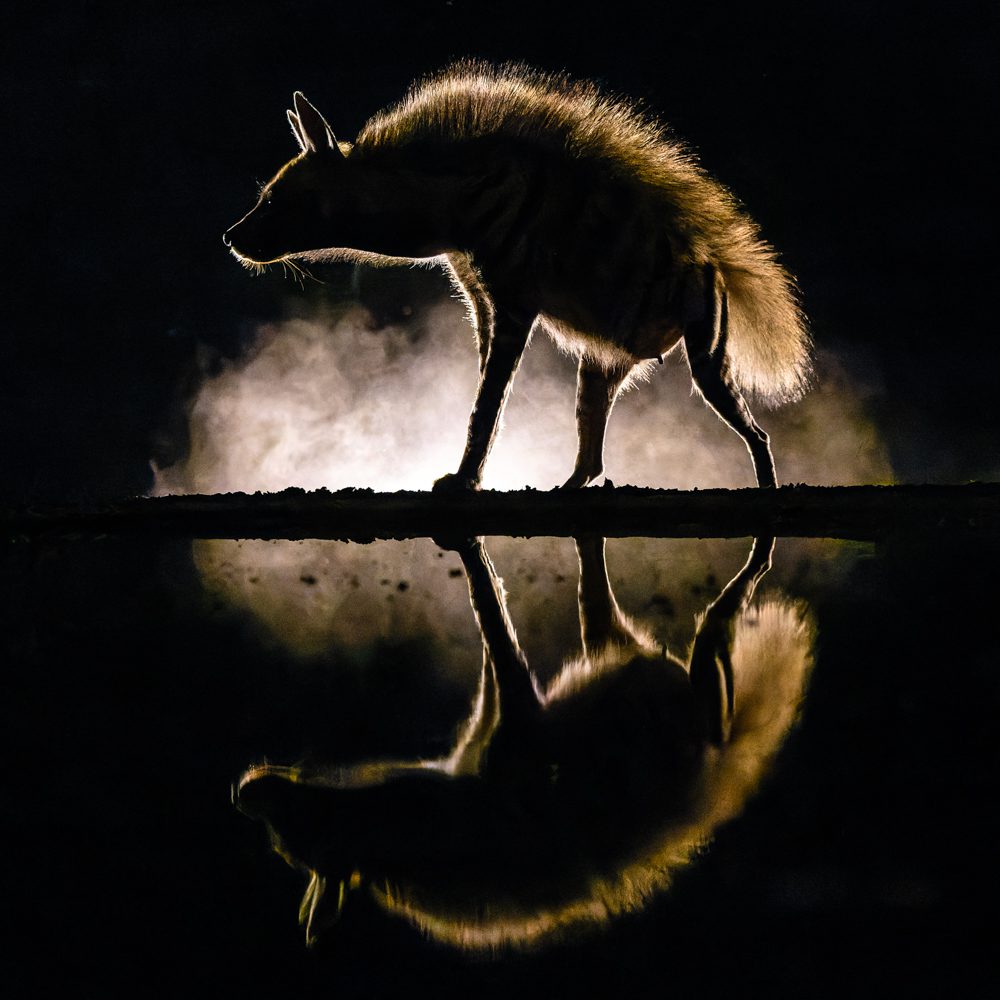 Elizabeth Brooke - South x Southeast photomagazine