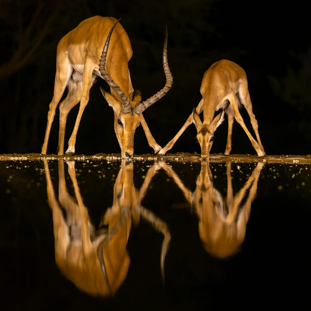 Elizabeth Brooke - South x Southeast photomagazine