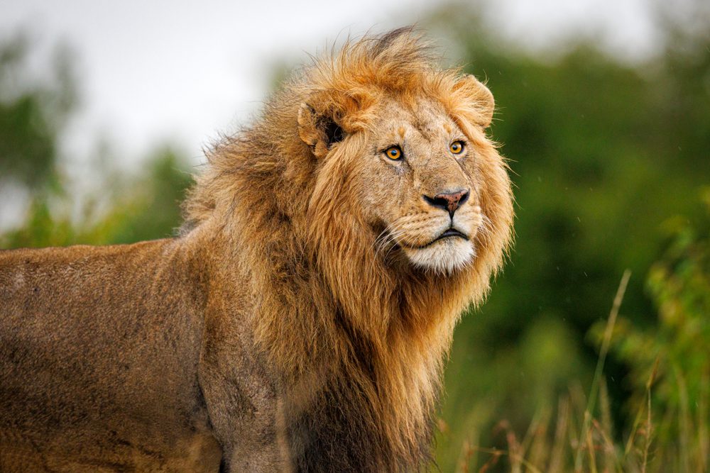 Elizabeth Brooke - South x Southeast photomagazine