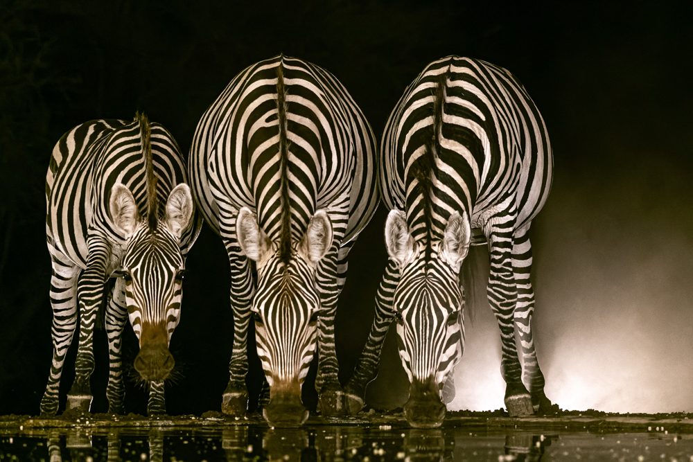 Elizabeth Brooke - South x Southeast photomagazine