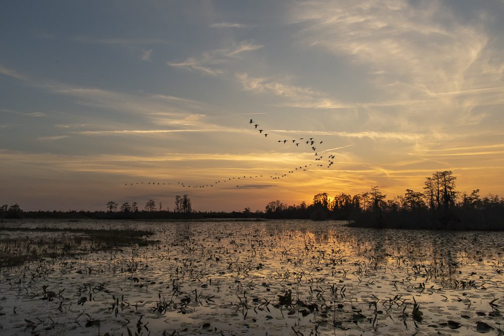 Frank Fuerst - South x Southeast photomagazine