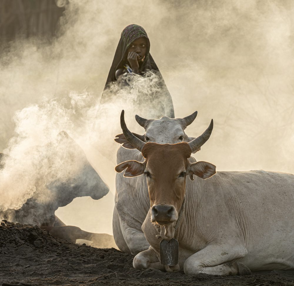 Cyndy Waters | The Ethiopian - South x Southeast photomagazine